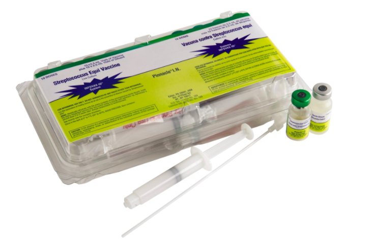 Strangles Vaccine