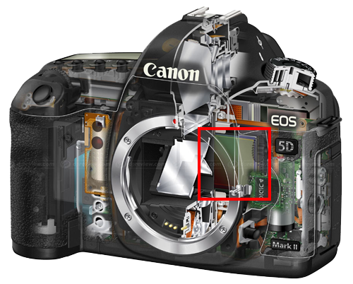 DIZPARA - clube dos fotógrafos vivos: Sensor nas câmeras digitais ...