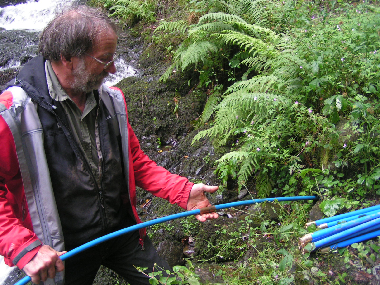 Central and East Lakes Rangers: Secrets of the Ranger – The Cat and the ...