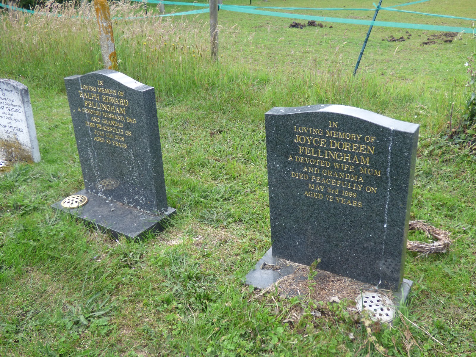 My Quiet Life in Suffolk: Wetherden Open Gardens