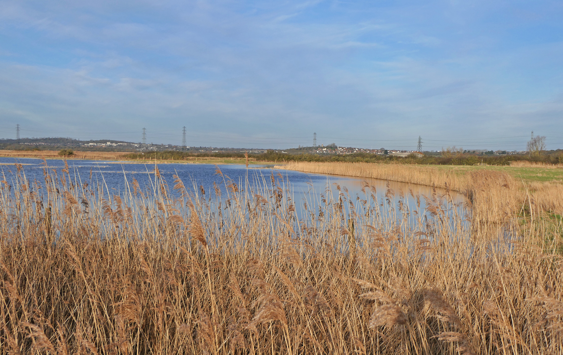 Bowers Marsh walk, January 2021 No. 7