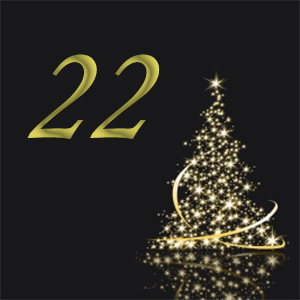 WHISKY LASSIE, the one and only...: Day 22 Advent Calendar - Ode to Bob...