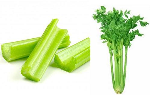 Farmacognosia: PLANTAS MEDICINALES - EL APIO