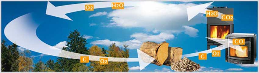 Energias Renováveis: Energia Biomassa