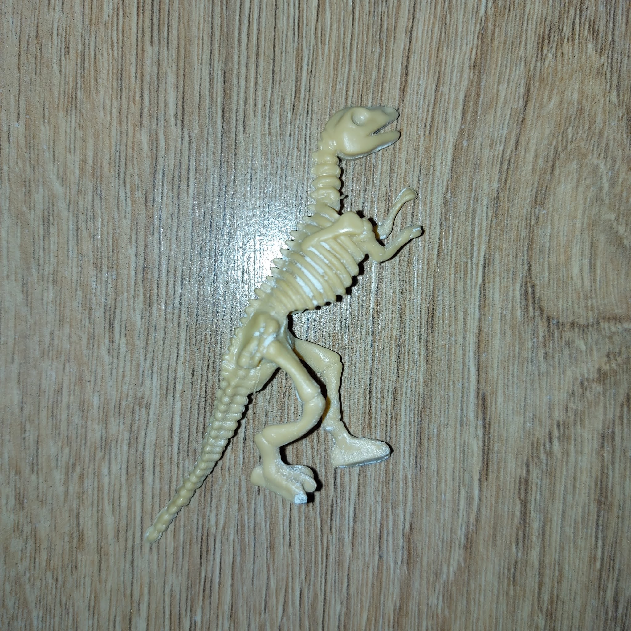 LITTLE MOMENTS| DINO LAB | 5/52 | Joanna Victoria