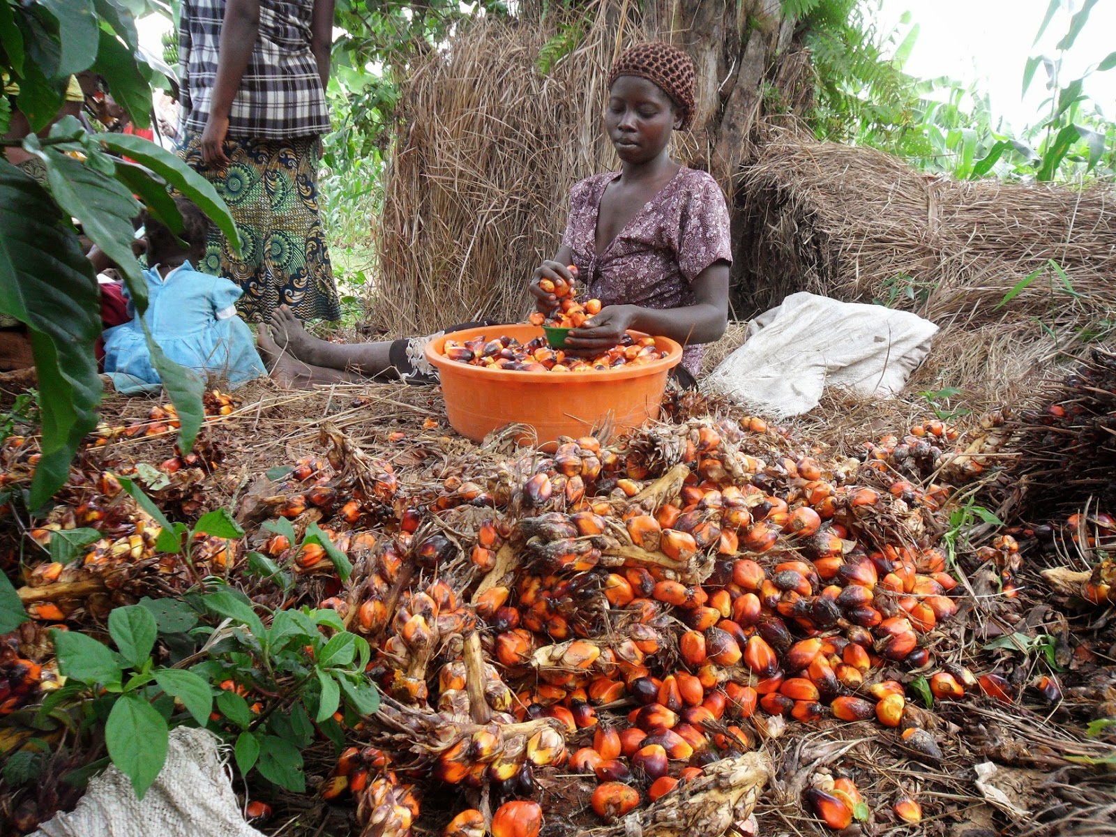 MAISHA NA MAFANIKIO: NIMEKUMBUKA KWETU KIJIJINI LUNDO ....