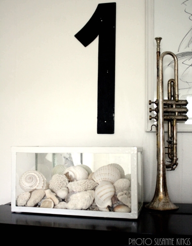 46 Shell Decor Ideas for your Seashell Collection