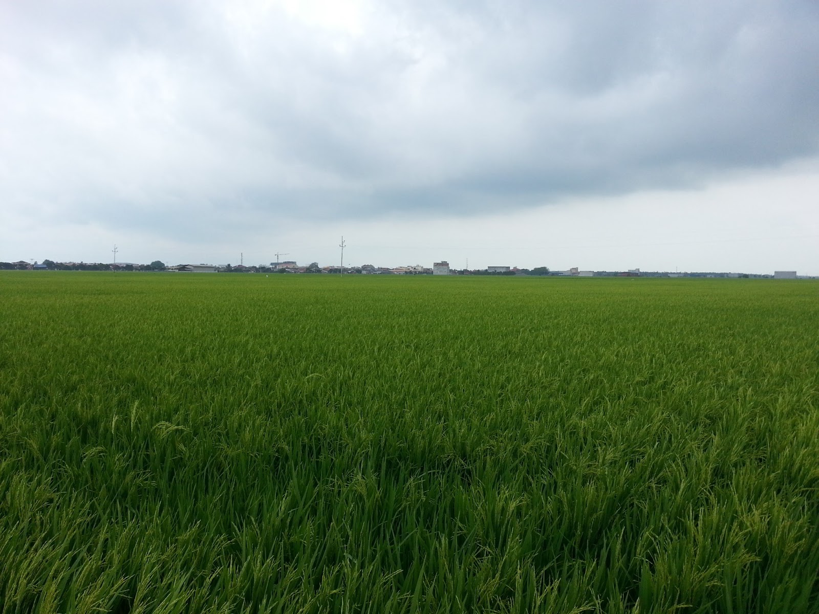 Kuala Lumpur Short Getaway: Day Trip to Paddy Field, Fishing Village ...