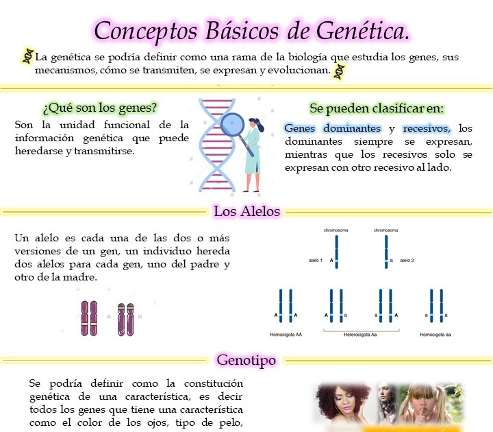 Conceptos Básicos de Genética. Conceptos Básicos de Genética.