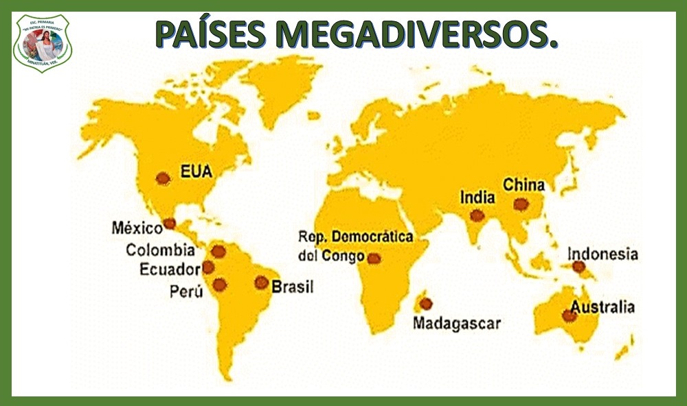 SEXTO GRADO GRUPO "A".: RIQUEZA Y VARIEDAD DE VIDA EN LOS PAÍSES ...