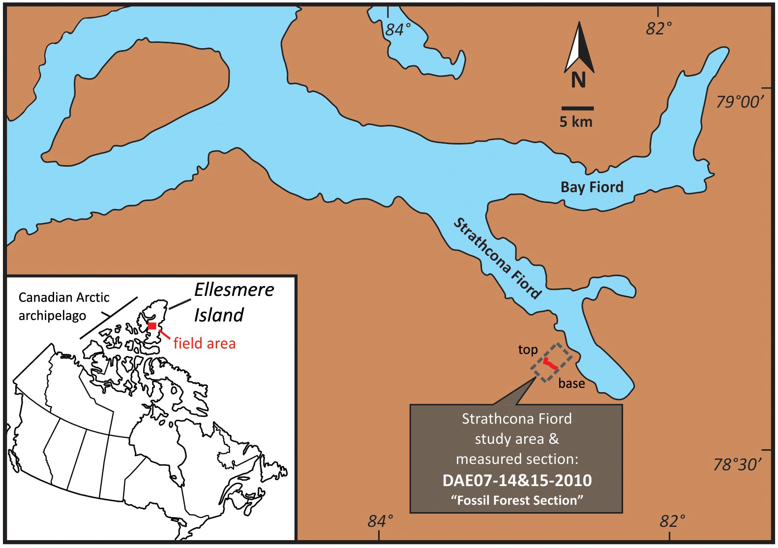 Sciency Thoughts: Identifying fragmentary Mammal teeth from the Early ...