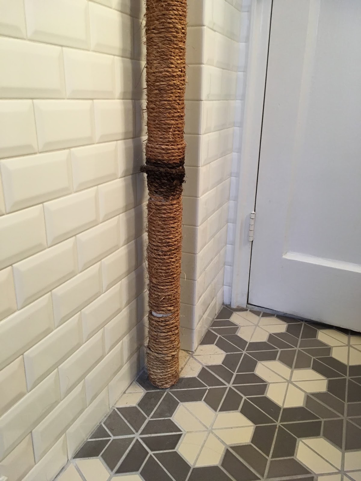 Rope-Wrapped Exposed Steam Pipe—Four Years Later