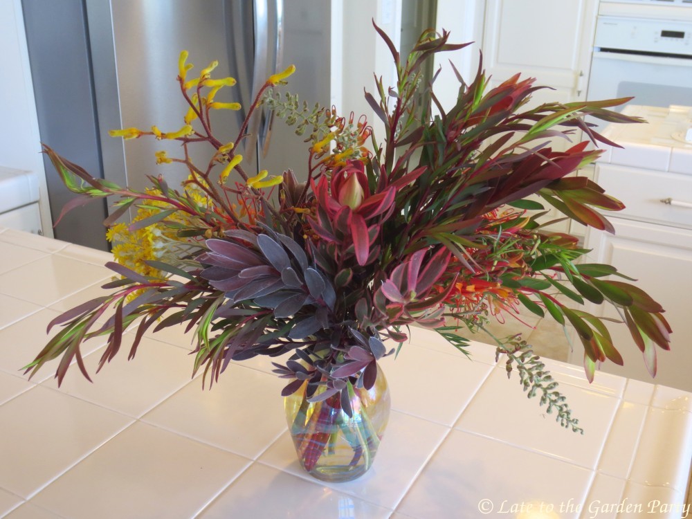 Late to the Garden Party: In a Vase on Monday: Flashy Foliage and a Few ...