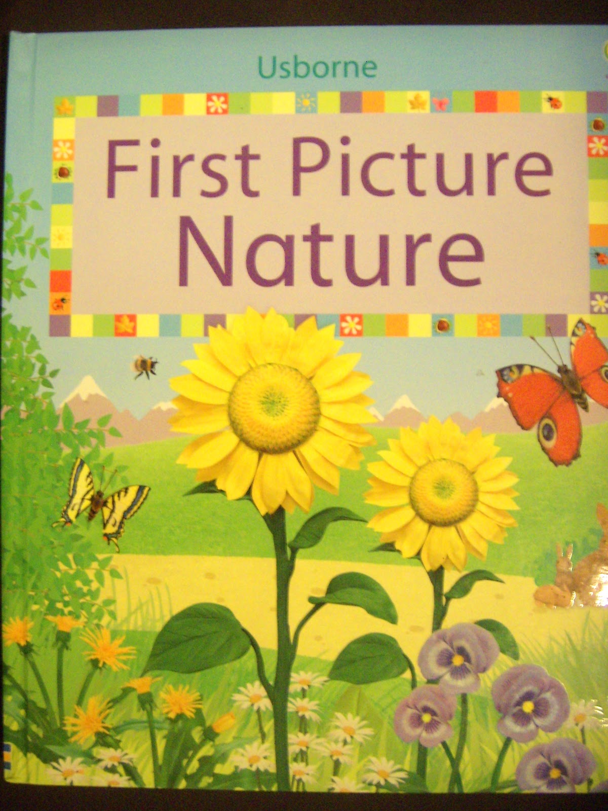 CHILDREN BOOKS FOR YOU: Usborne First Picture Nature