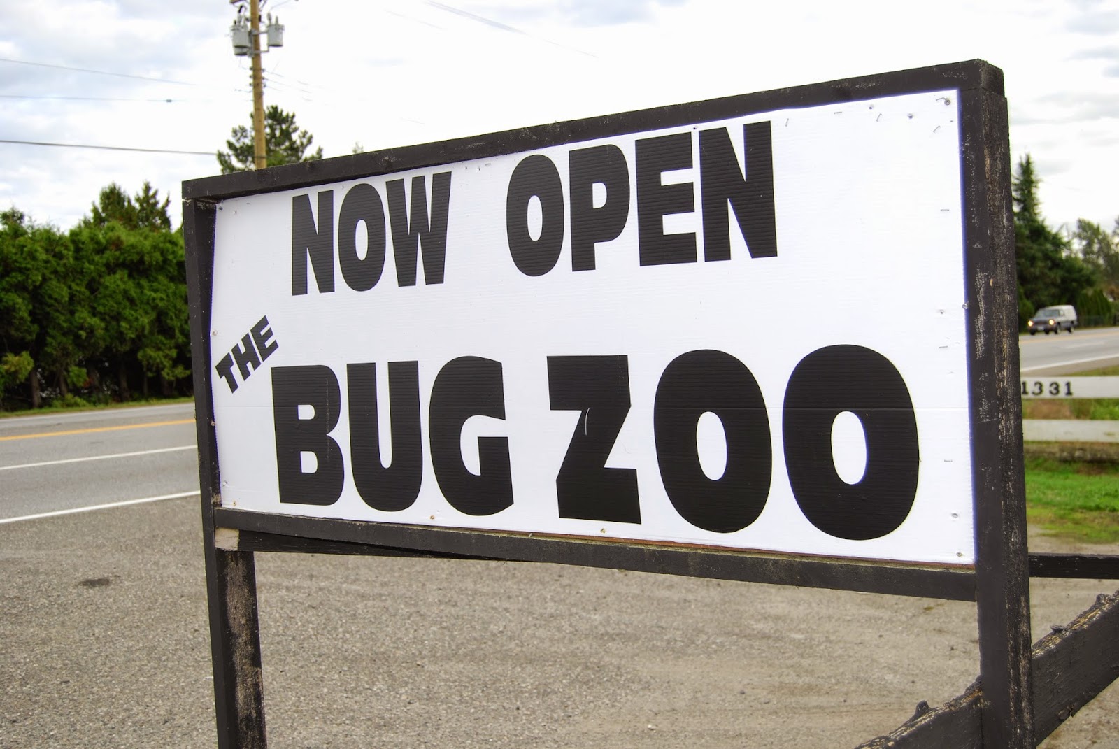 Every Single Thing About You