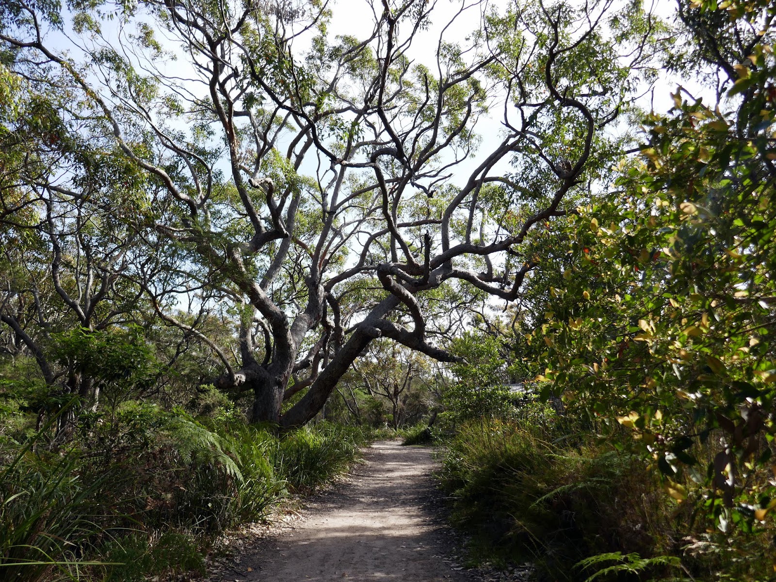 All The Gear But No Idea: Beecroft Head, Gosangs Tunnel & Mermaids Inlet