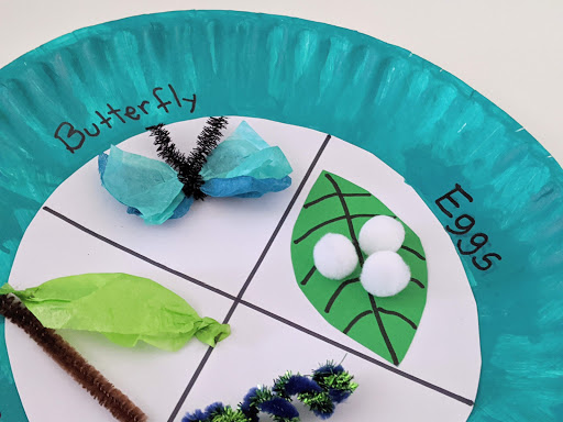 Butterfly Life Cycle Paper Plate Craft for Kids - Crafting A Fun Life