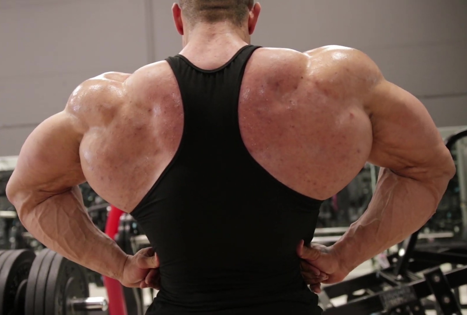 Muscle Lover: Magnificent backs (4)