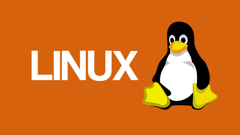 10 Contoh Soal Linux Essay dan Jawabannya - Manglada Tech