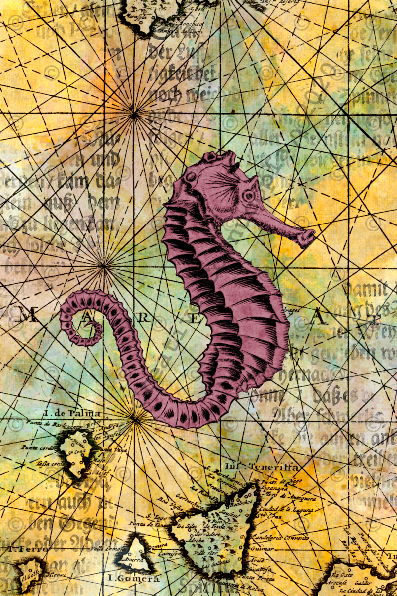 Anne's Creative Cornucopia: "Seahorse Map" - Postcard
