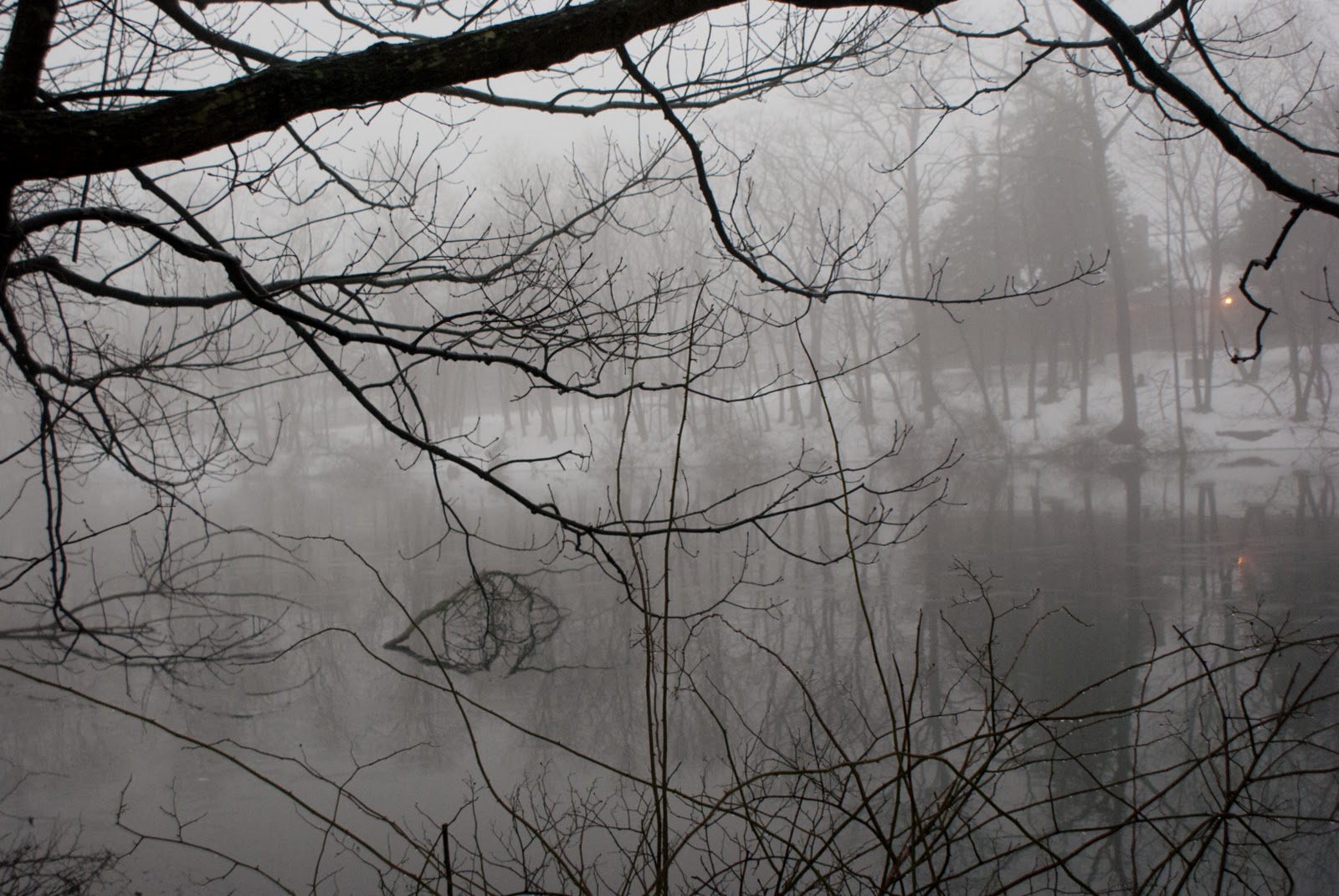 Sara's Photography: Ephemeral: Untitled