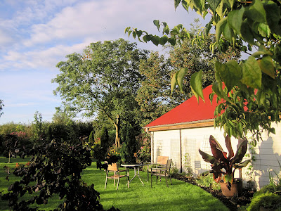 Landbohaven: Svalerne samledes....