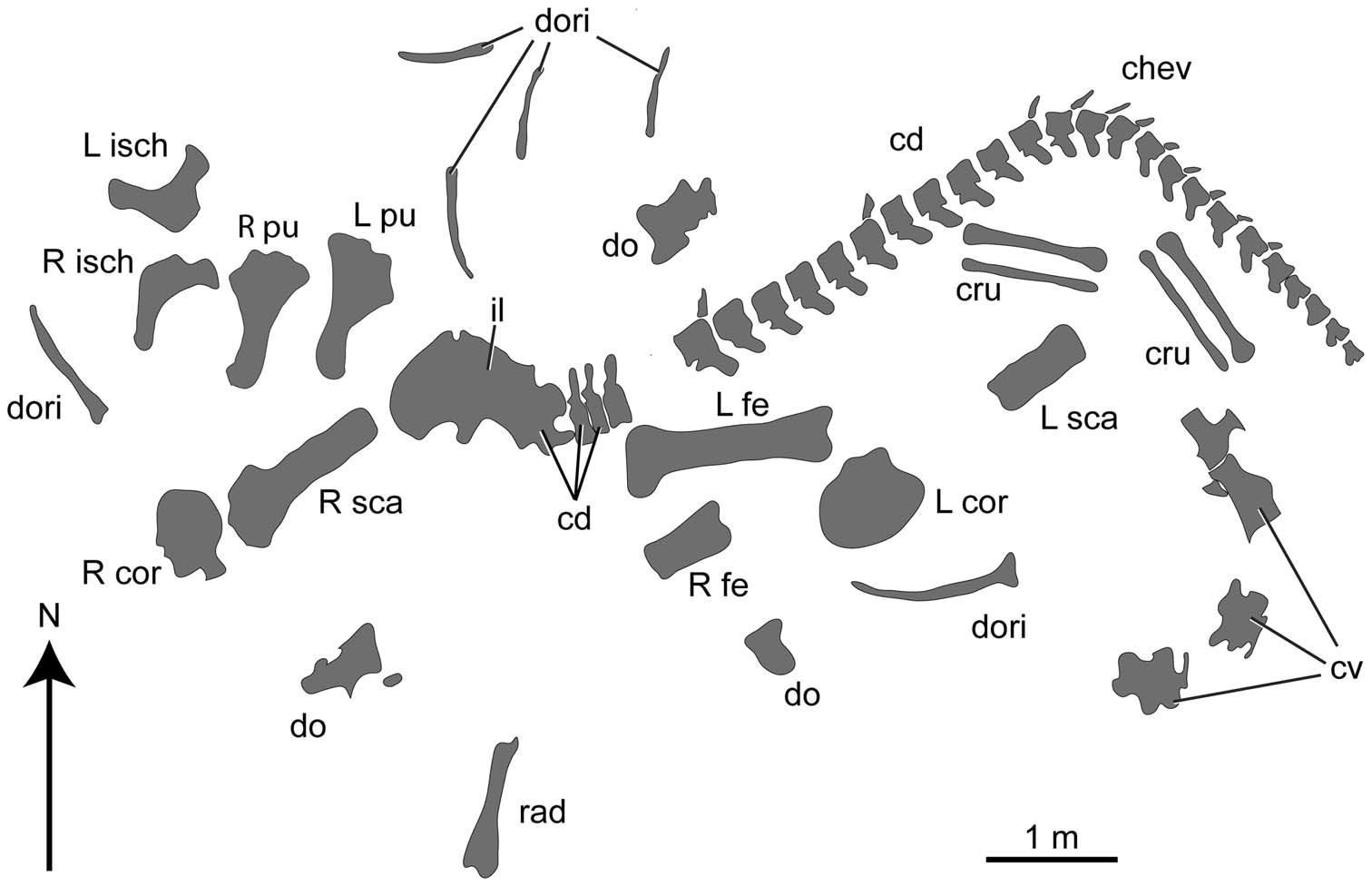 Equatorial Minnesota: Your Friends The Titanosaurs, part 35: Part-Time ...