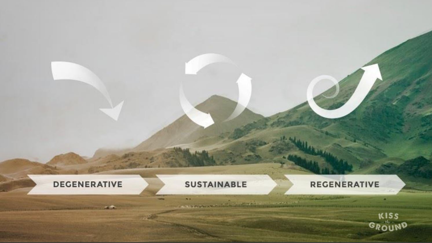 Regeneration in ACTION: Regeneration in ACTION!