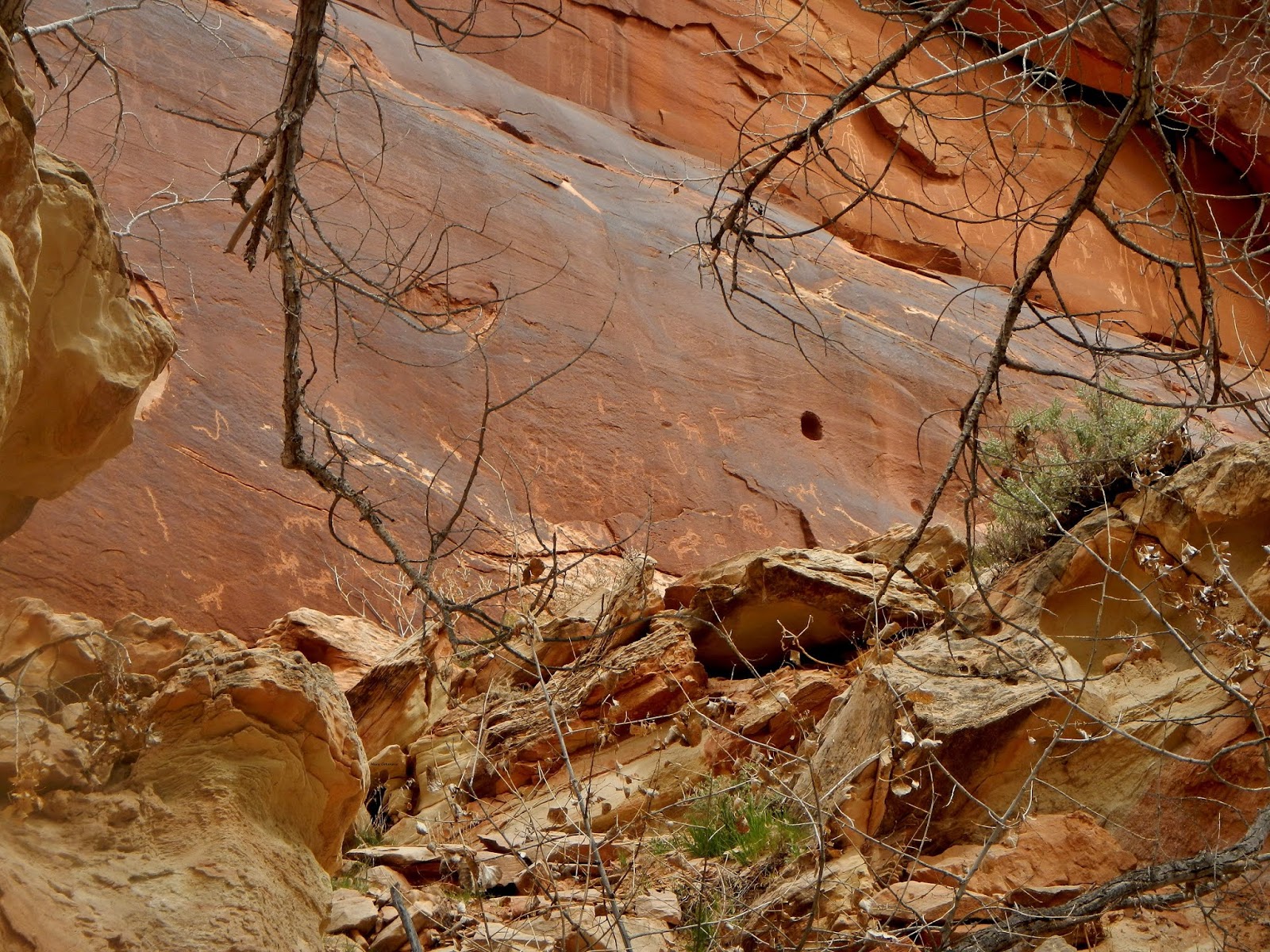 The Southwest Through Wide Brown Eyes: In Search of Sand Island's ...