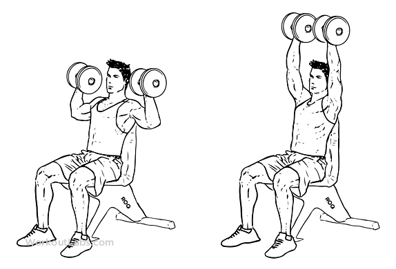 HRHS Fitness Room: Exercise ID Handout