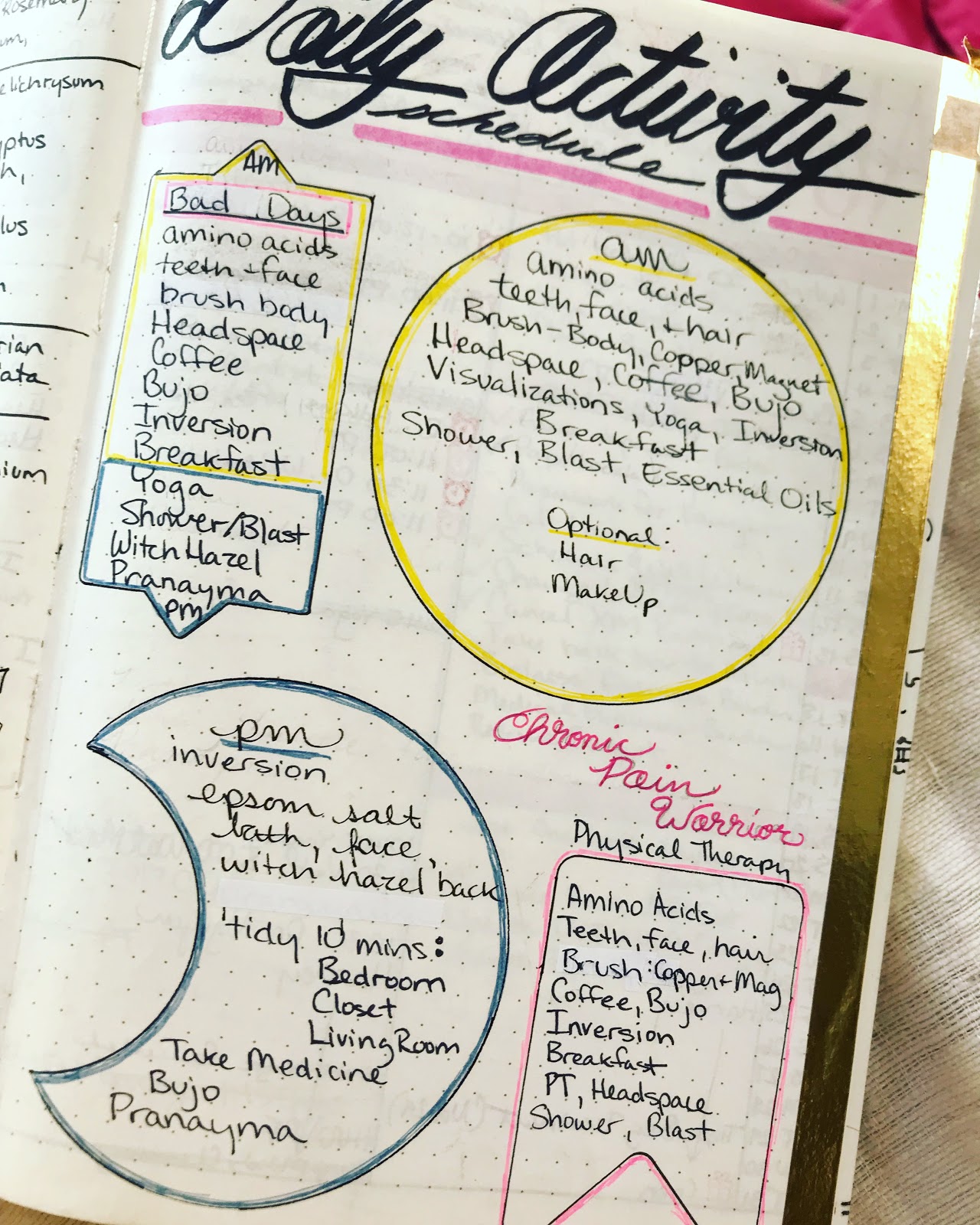 Bullet Journal Daily Routine 2019 | Adina Mayo