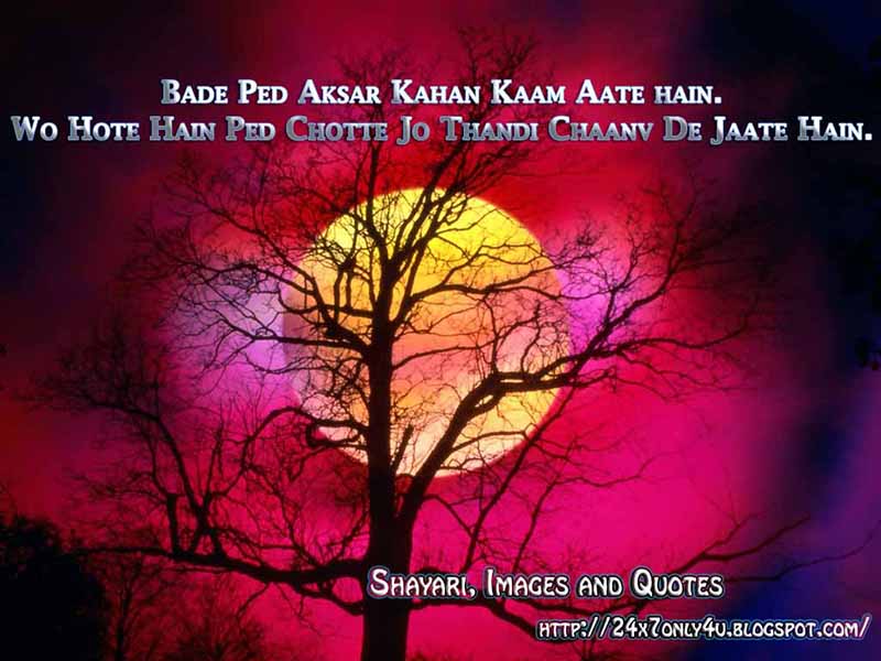 Bade Ped Aksar Kahan Kaam Aate hain | Simple Shayari