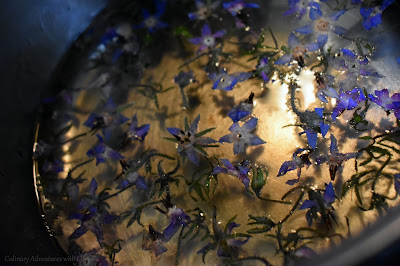Borage Sparklers, Both Boozy and Not #SundayFunday
