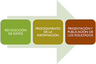 PROCESAMIENTO DE DATOS: PROCESO Y ANÁLISIS DE LOS DATOS