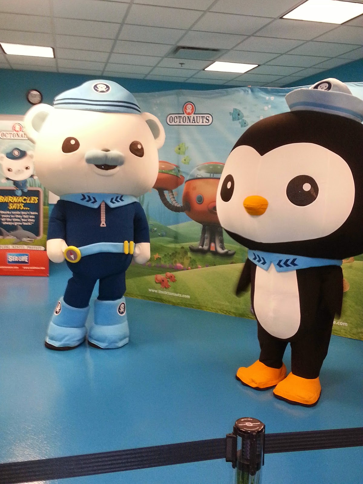Meet the Octonauts at Sea Life Aquarium- Charlotte/Concord in September ...