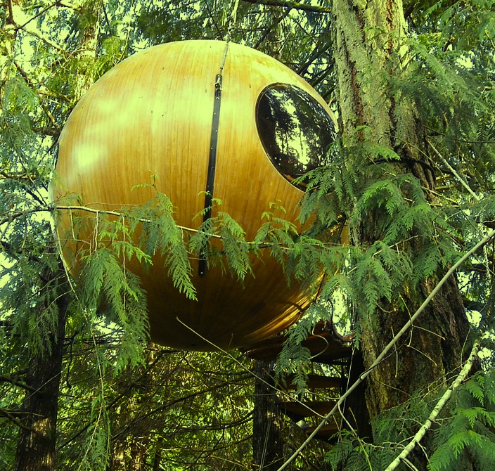 From Simple Platforms to Elaborate Tree Houses