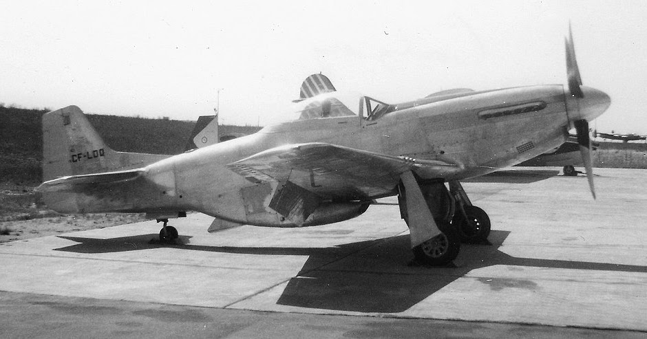 Archivo inglés: Lynn Garrison