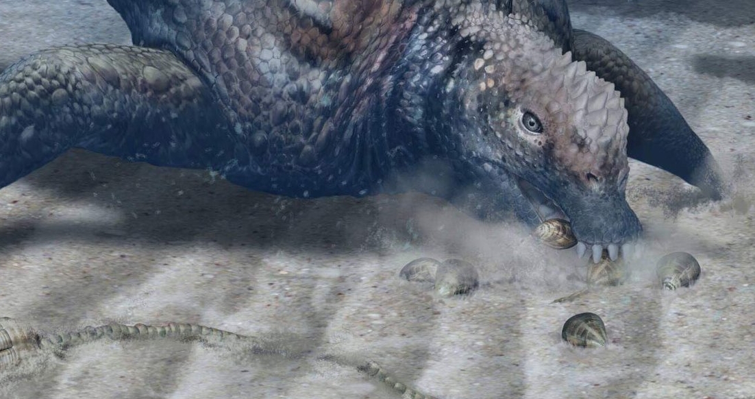 a mesozoic field guide: The Placodonts