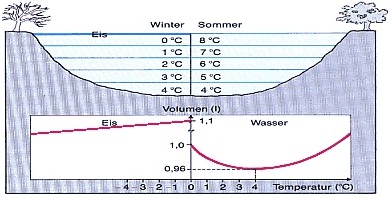Sammelsurium aus dem und für den Unterricht: Anomalie des Wassers