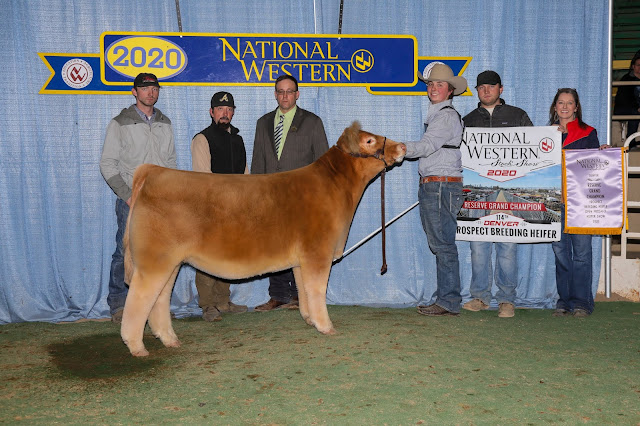 RCC Blog: Top 5 Breeding Heifers at National Western Stock Show ...