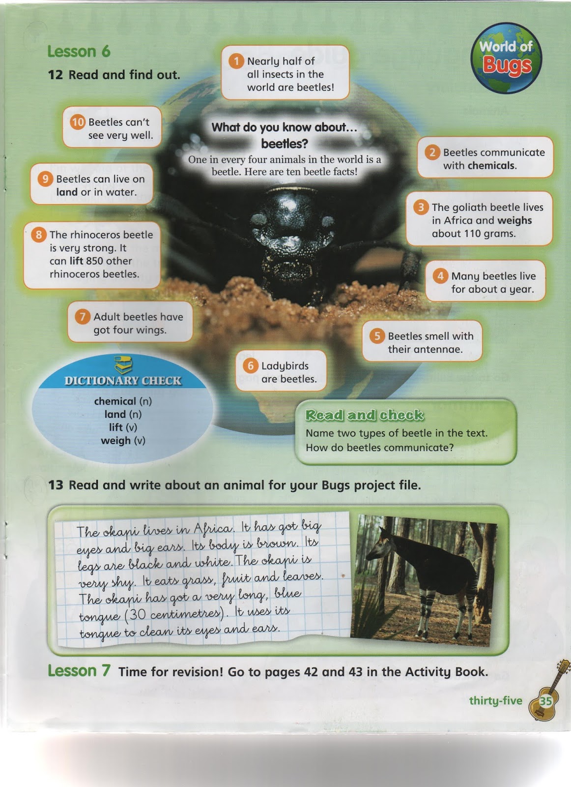 English blog: 5º- UNIT 4: "THE AMAZING PET" (animal description ...