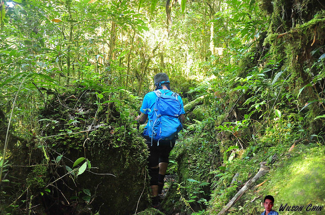 Mount Murud Exploration - Summit The Mount Murud, Highest Mountain in ...