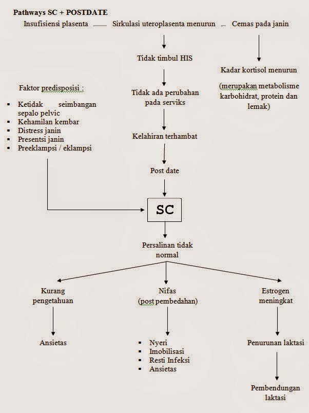 Persalinan Normal Setelah Persalinan Sectio Caesaria pada Persalinan ...