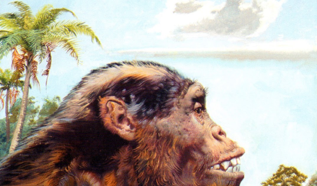 Zdeněk Burian: Dryopithecus