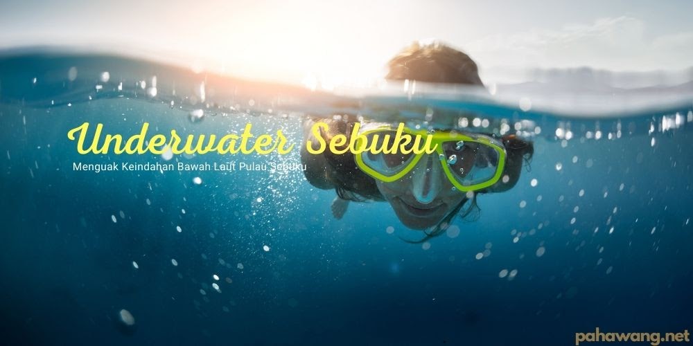 Pulau Sebuku dan Keindahan Alami Bawah Lautnya