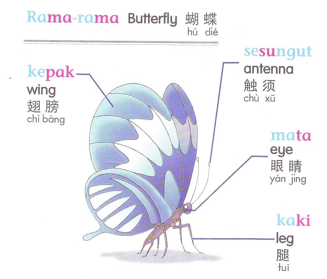 DUNIA SAINS & TEKNOLOGI TAHUN 1: BAHAGIAN BADAN HAIWAN