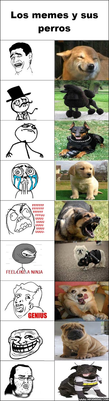 Los memes y sus perros - Divertite OK
