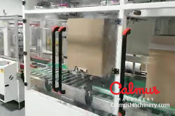 Bag in Box Forming Filling and Sealing Line for Packaging Nuts or ...