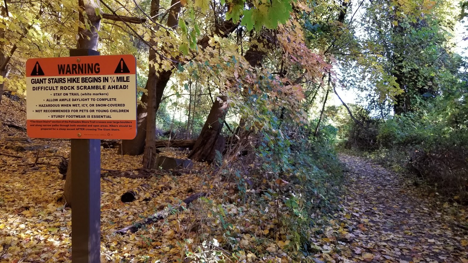 NJ/NY Hikes : The Palisades: Giant Steps