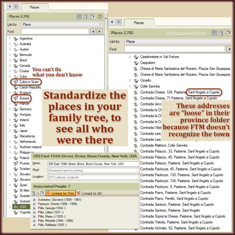 Fortify Your Family Tree: 3 Little Fixes for Your Family Tree